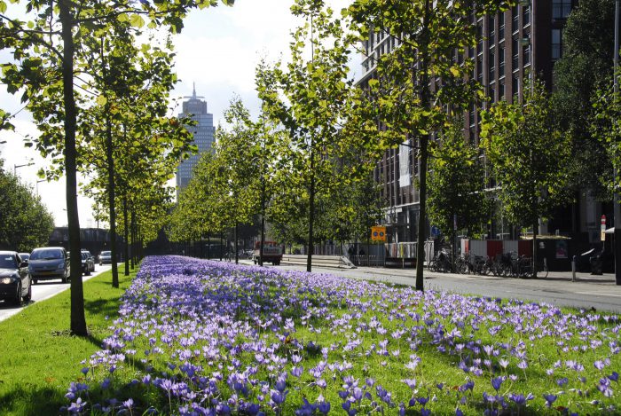 Wibautstraat Amsterdam - Sant en Co