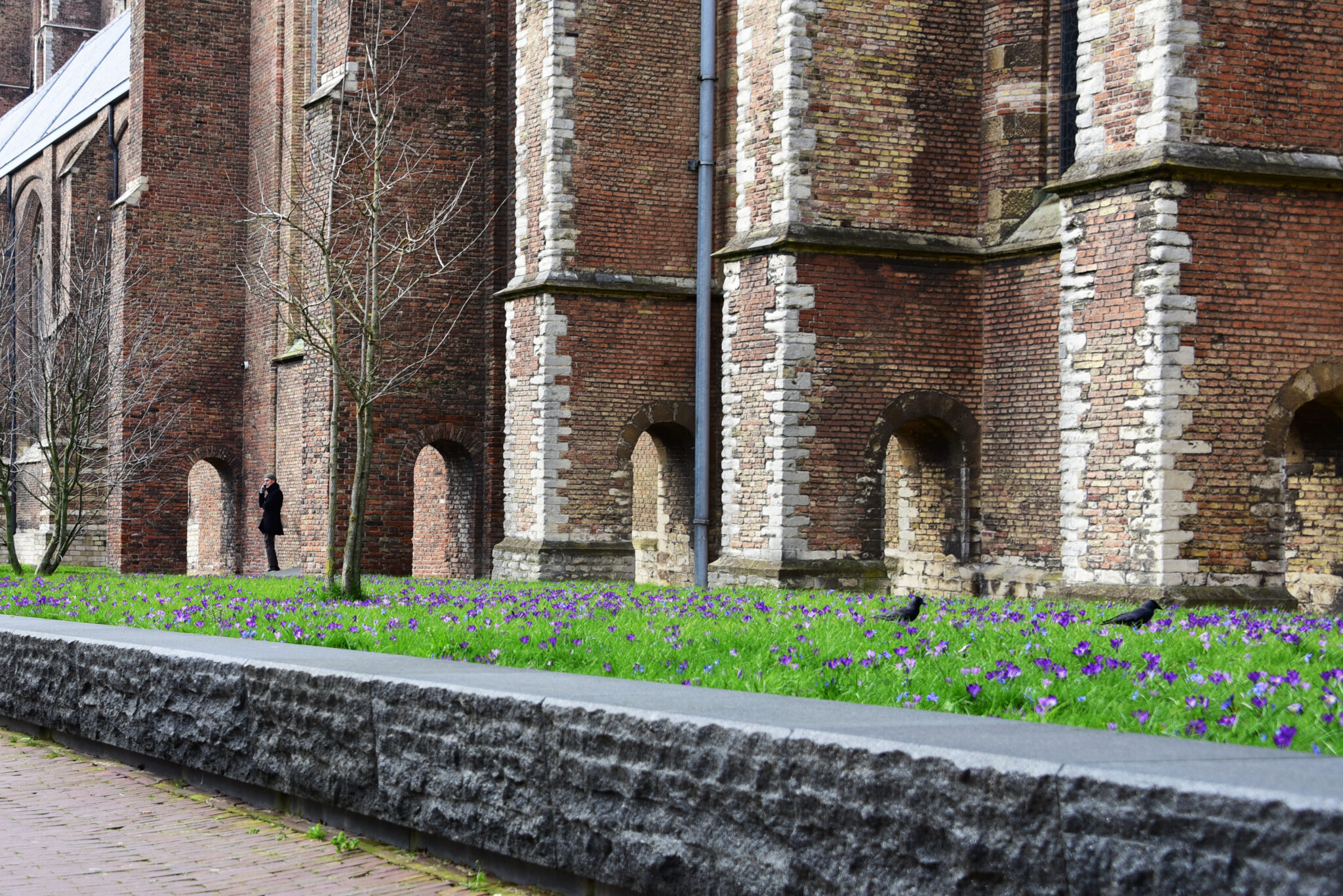 De Nieuwe Kerk Delft - Sant en Co